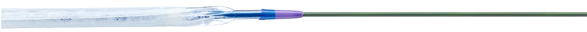 Ranger Drug-Coated Balloon - Boston Scientific