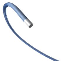 Catheters: Guide - Boston Scientific