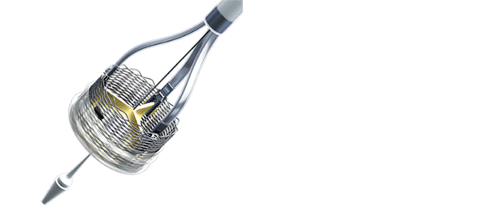 Interventional Cardiology - Boston Scientific