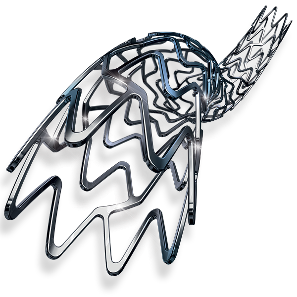 Promus PREMIER Everolimus-Eluting Platinum Chromium Coronary Stent ...