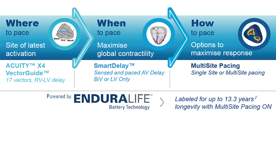 Boston Scientific Lv Lead | semashow.com