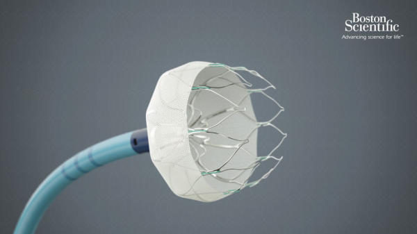 WATCHMAN™ Device for Afib Treatment | Boston Scientific