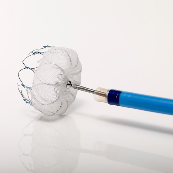 WATCHMAN™ Left Atrial Appendage Closure Device | Warfarin Therapy ...