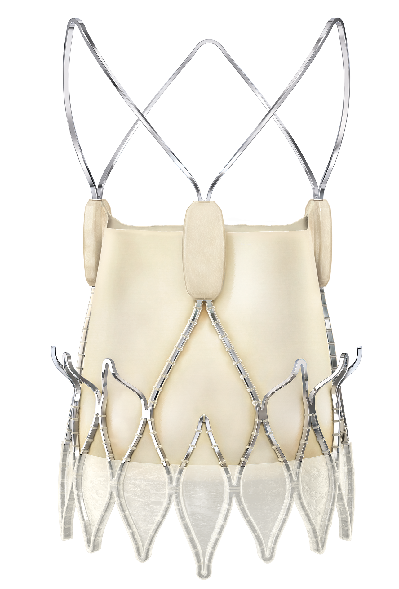 Structural Heart Products - Boston Scientific