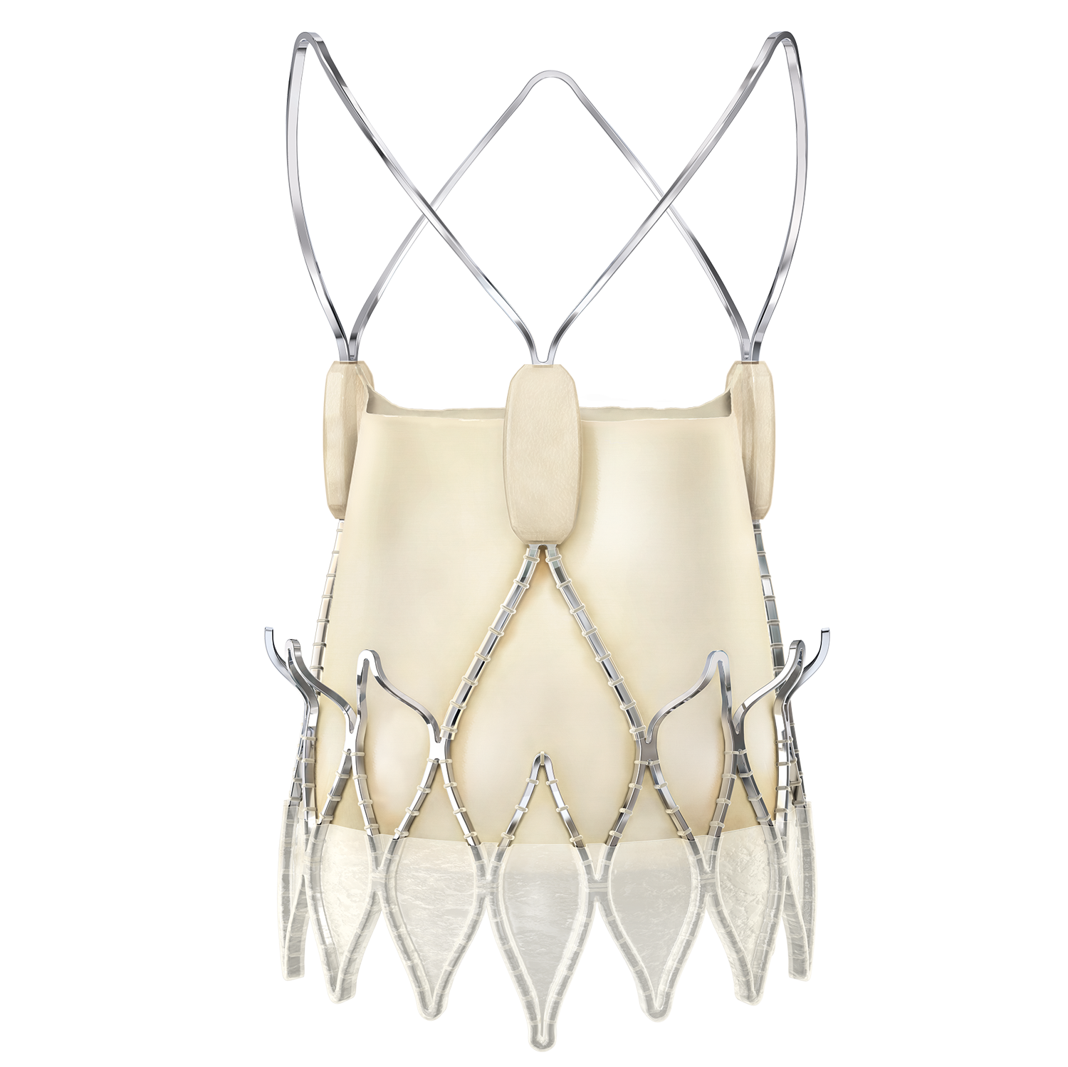 ACURATE neo™ Aortic Valve System - Boston Scientific