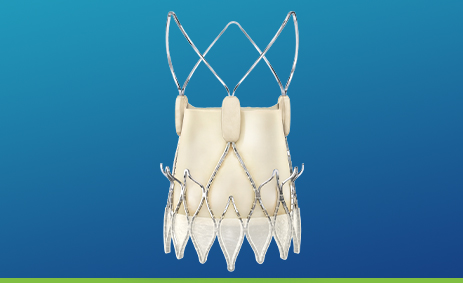 TAVI Portfolio - Boston Scientific