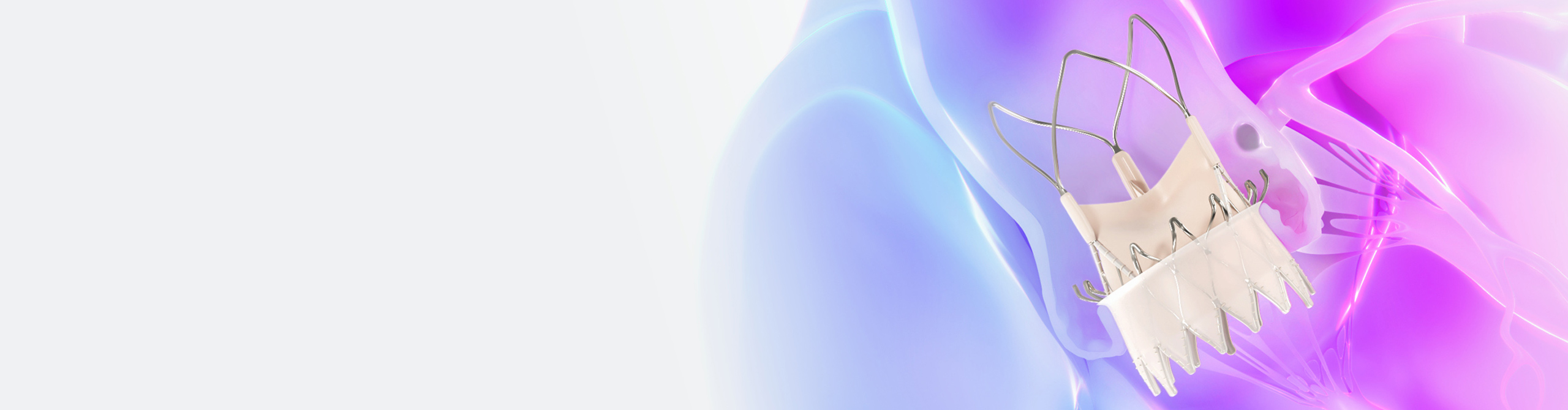 Structural Heart - Boston Scientific