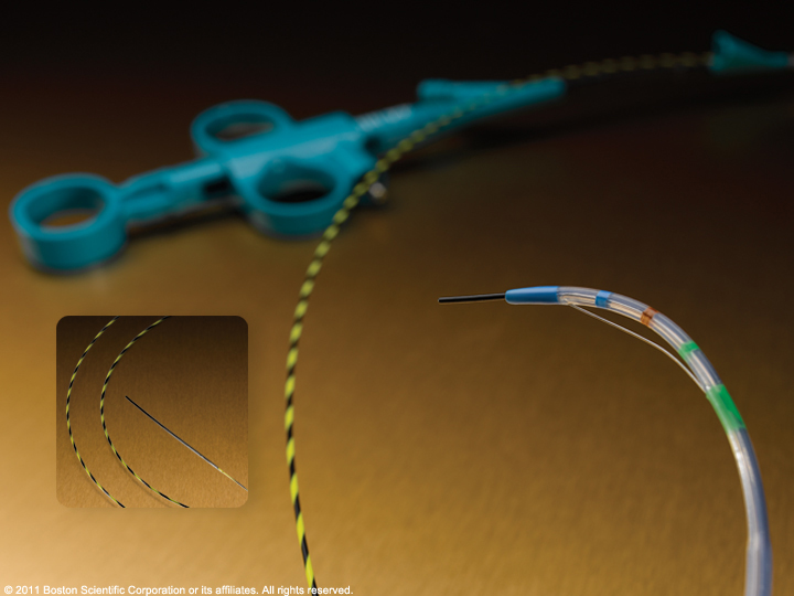 Biliary Images for Presentations - Boston Scientific