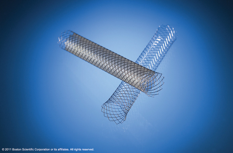 Biliary Metal Stent Images - Boston Scientific