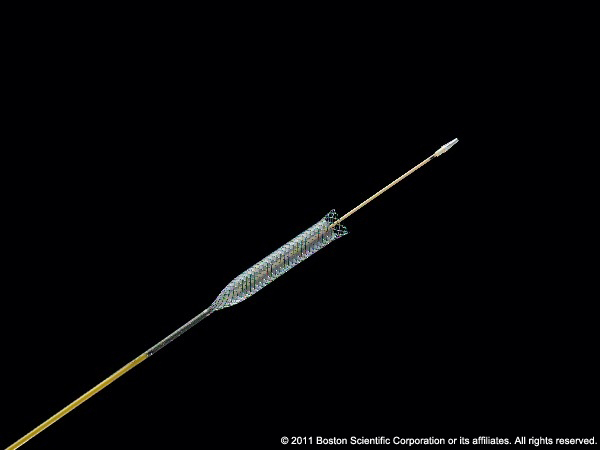 Biliary Metal Stent Images - Boston Scientific