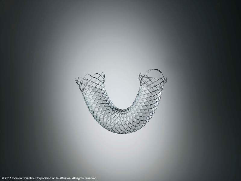 Biliary Metal Stent Images - Boston Scientific