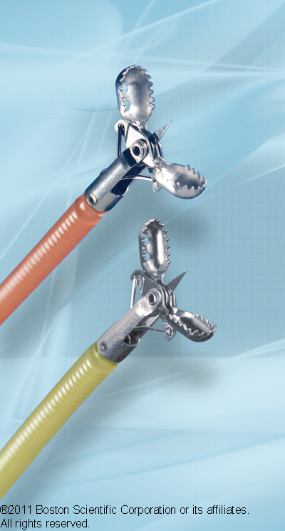 Biopsy Images - Boston Scientific