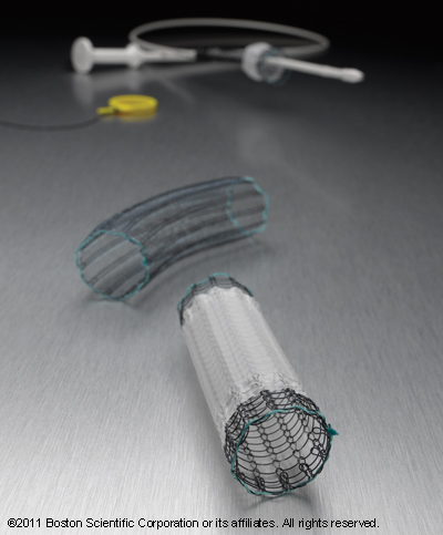 Esophageal Stents Images - Boston Scientific