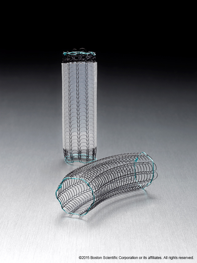 Stents: Pulmonary Images - Boston Scientific