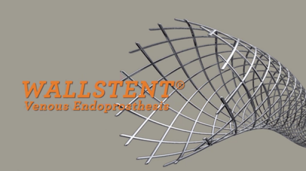 WALLSTENT™ Endoprosthesis | Boston Scientific