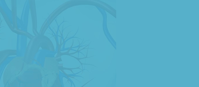 Heart Disease Risk Assessment Printable