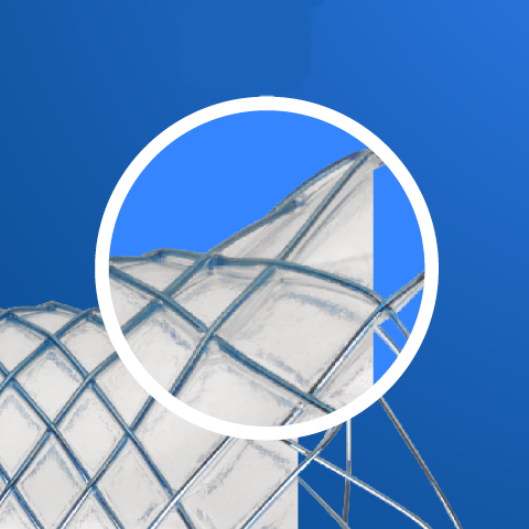 WallFlex Biliary PLUS RX Stent System – Boston Scientific