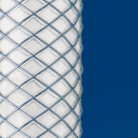 WallFlex Biliary PLUS RX Stent System – Boston Scientific