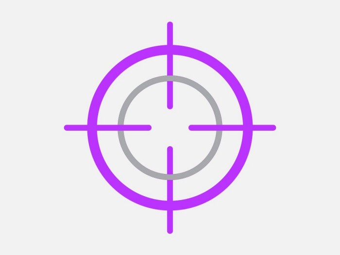 VersaCross™ Large Access Solution - Boston Scientific