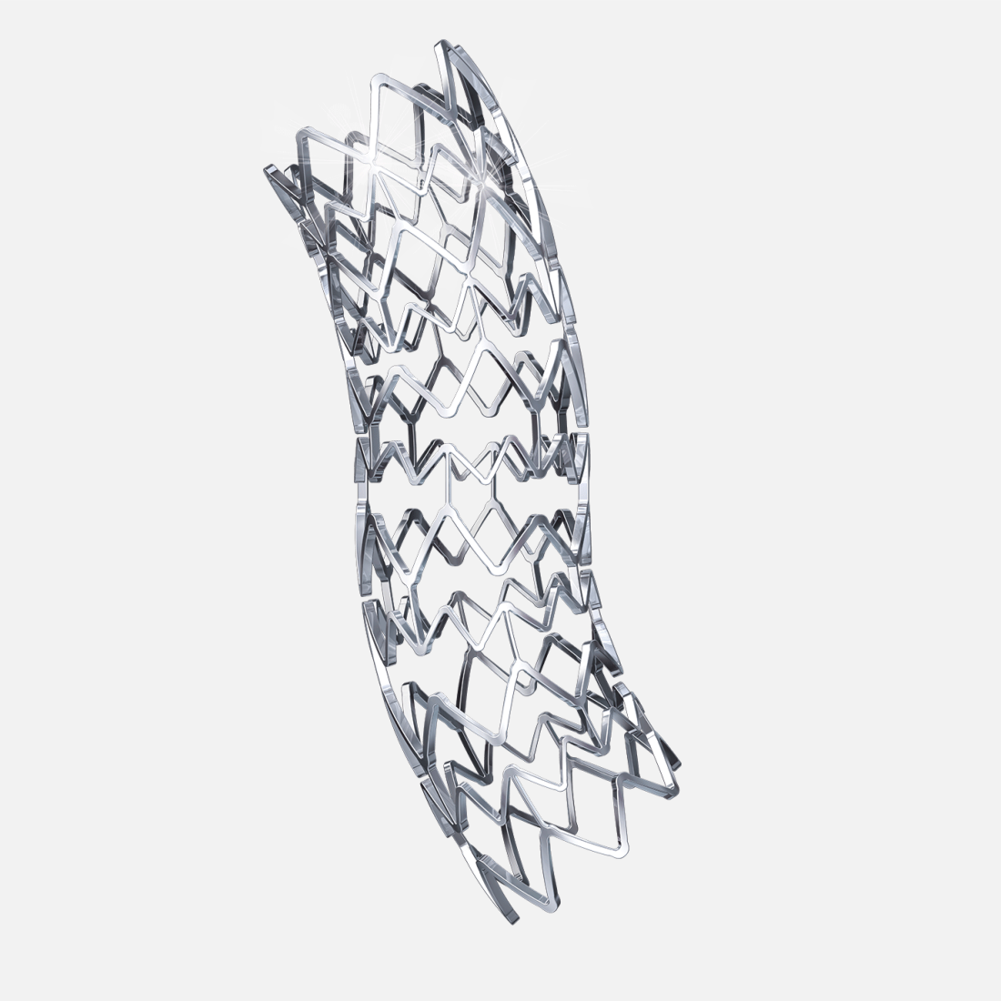 Express™ SD Renal and Biliary Premounted Stent System - Boston Scientific