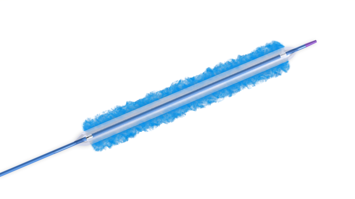 Ranger™ Drug-Coated Balloon - Boston Scientific