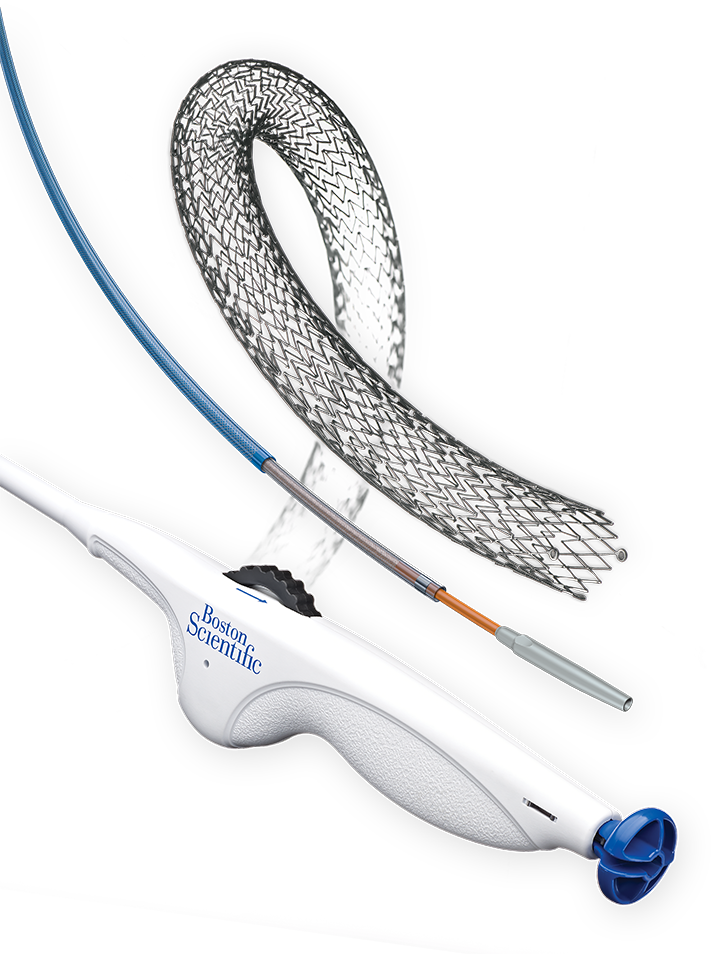 Innova™ Vascular Self-Expanding Stent System - Boston Scientific