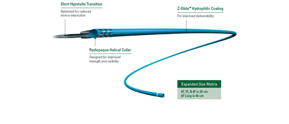 Guidezilla II Guide Extension Catheter - Boston Scientific