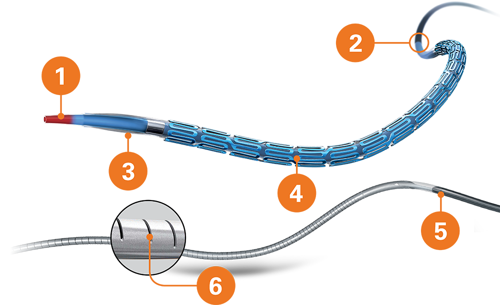 PCI Case Cost Reductions with Bioabsorbable Polymer – SYNERGY Stent ...