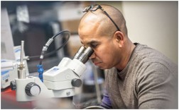 Businesses - Boston Scientific