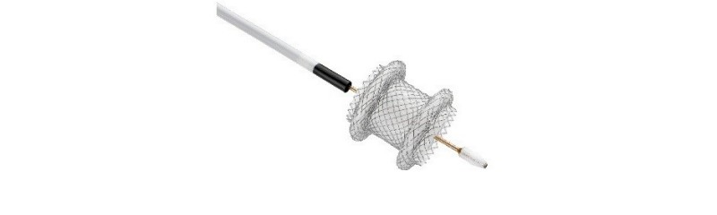 Hot AXIOS™ for Gallbladder Drainage - Boston Scientific