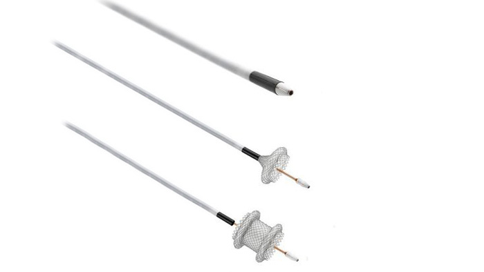 LAMS - Boston Scientific