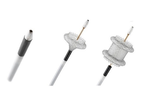 Hot AXIOS Stent - Gallbladder drainage solutions - Boston Scientific