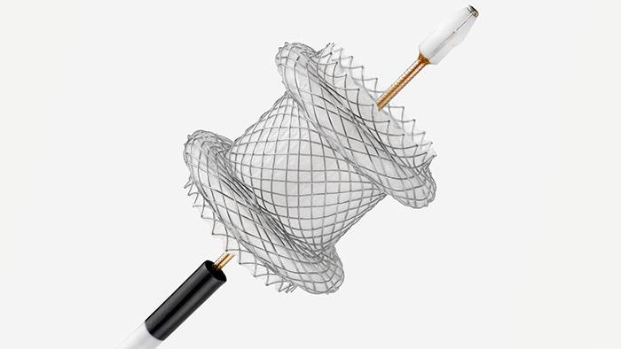 Gallbladder drainage - Boston Scientific