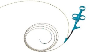 Simple Stone Case - Boston Scientific