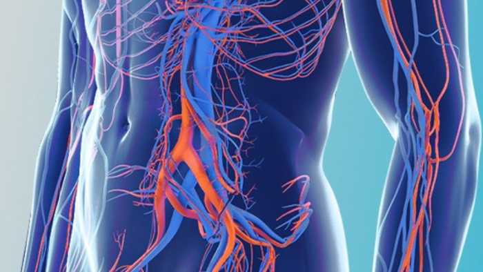 Interventional oncology & embolisation - Boston Scientific