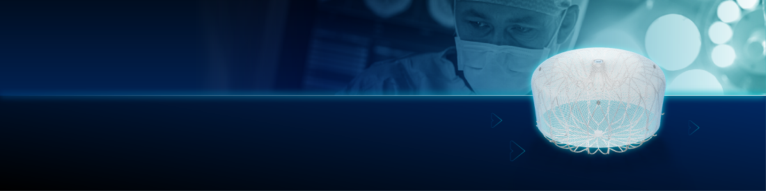 WATCHMAN FLX-PRO - Boston Scientific