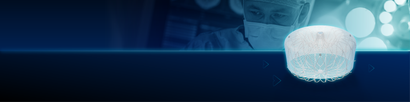 WATCHMAN FLX-PRO - Boston Scientific