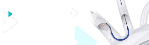 SENTINEL™ Cerebral Protection System - Boston Scientific