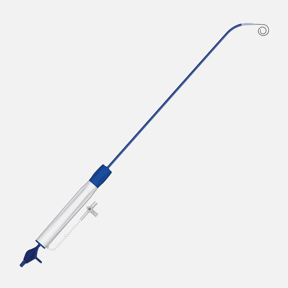 SureFlex™ Steerable Guiding Sheath - Resources - Boston Scientific