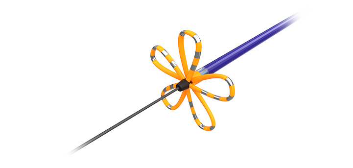 Electrophysiology - Boston Scientific