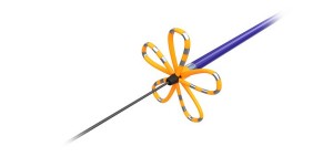 Electrophysiology - Boston Scientific