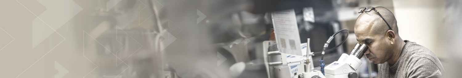 Endoscopy - Boston Scientific