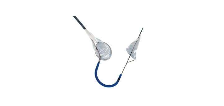 Interventional Cardiology - Boston Scientific