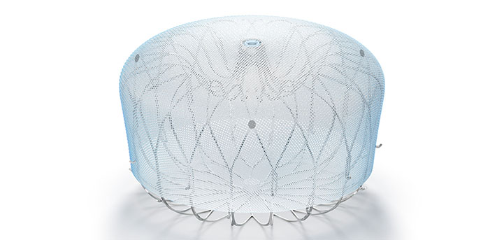 WATCHMAN - Boston Scientific