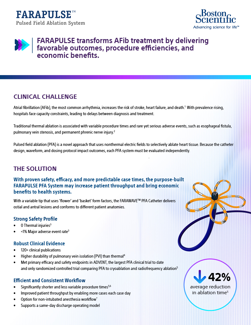 Cardiac Ablation and Mapping Product Suite - Boston Scientific - Boston ...