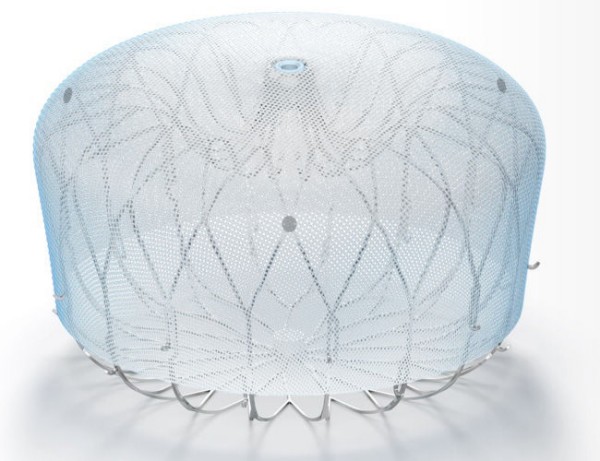 WATCHMAN - Leader in LAAC Therapy - Boston Scientific