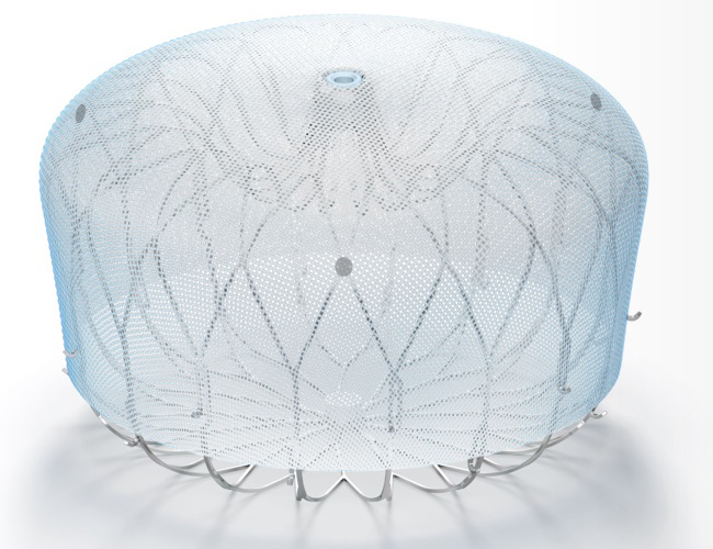 WATCHMAN - Leader in LAAC Therapy - Boston Scientific