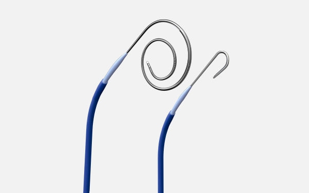 Heart Rhythm 2025 - Boston Scientific