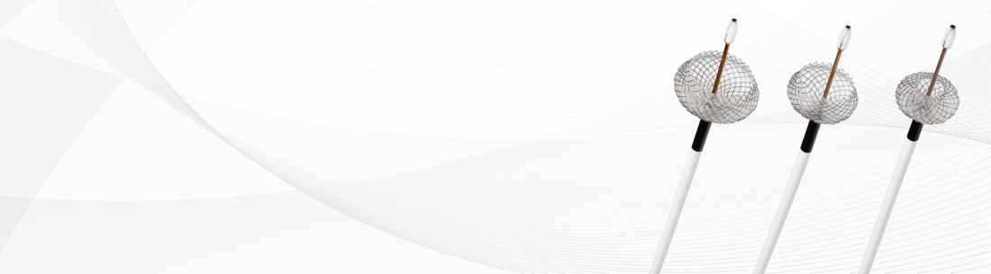 AXIOS™ Stent - Boston Scientific