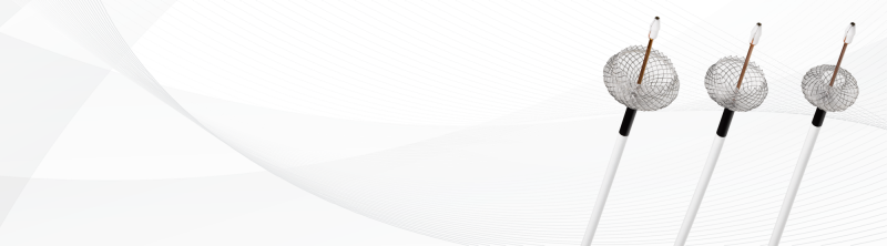 AXIOS™ Stent - Boston Scientific